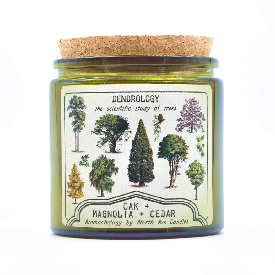 Tree Dendrology Oak Magnolia & Cedar Scented Jar Candle – Candlestock