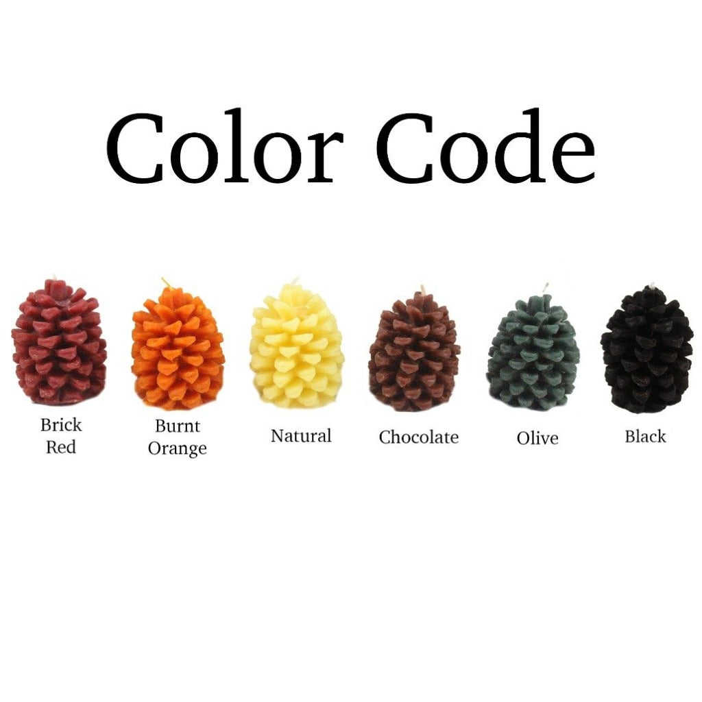 how to color a pine cone